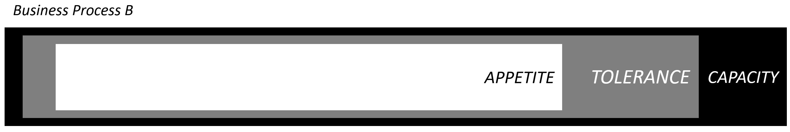 RISK APPETITE, TOLERANCE & CAPACITY EXPLAINED – Henrik Parkkinen