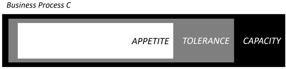 RISK APPETITE, TOLERANCE & CAPACITY EXPLAINED – Henrik Parkkinen